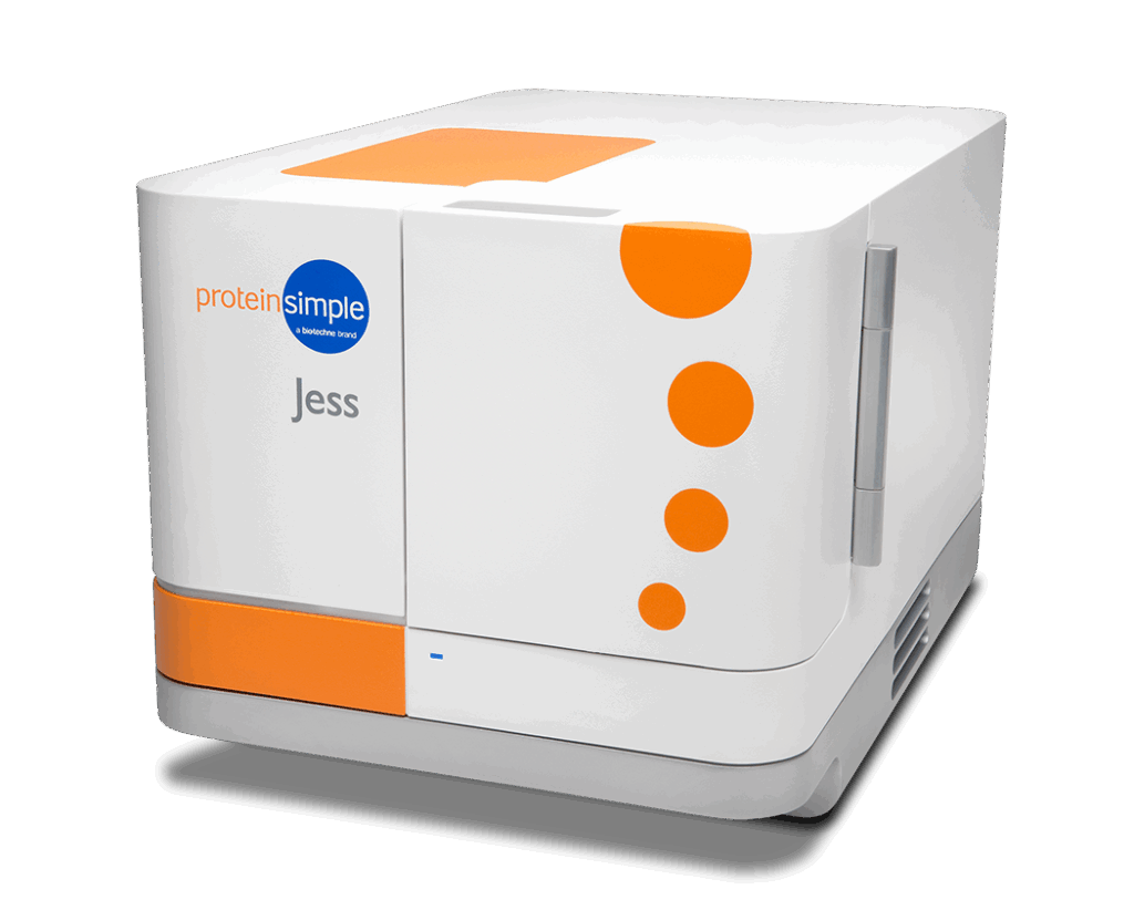 CRO [ACEL] Protein expression analysis using Simple Western (Jess)